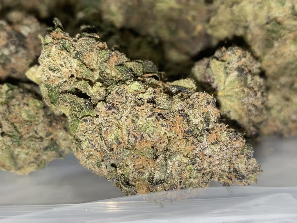 Sudz (AAAA) - Squishlist.Biz